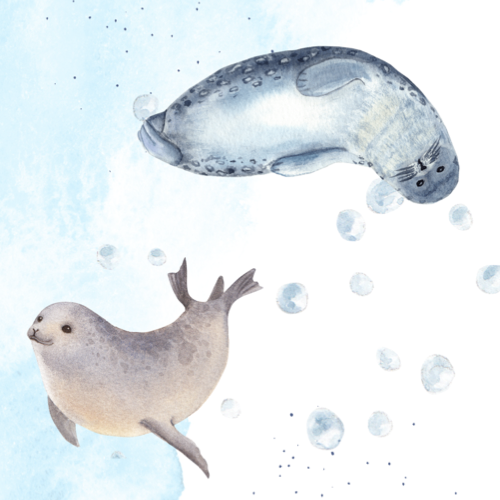 Fun Seals Worksheets for Kids - Inspiring Homeschooler